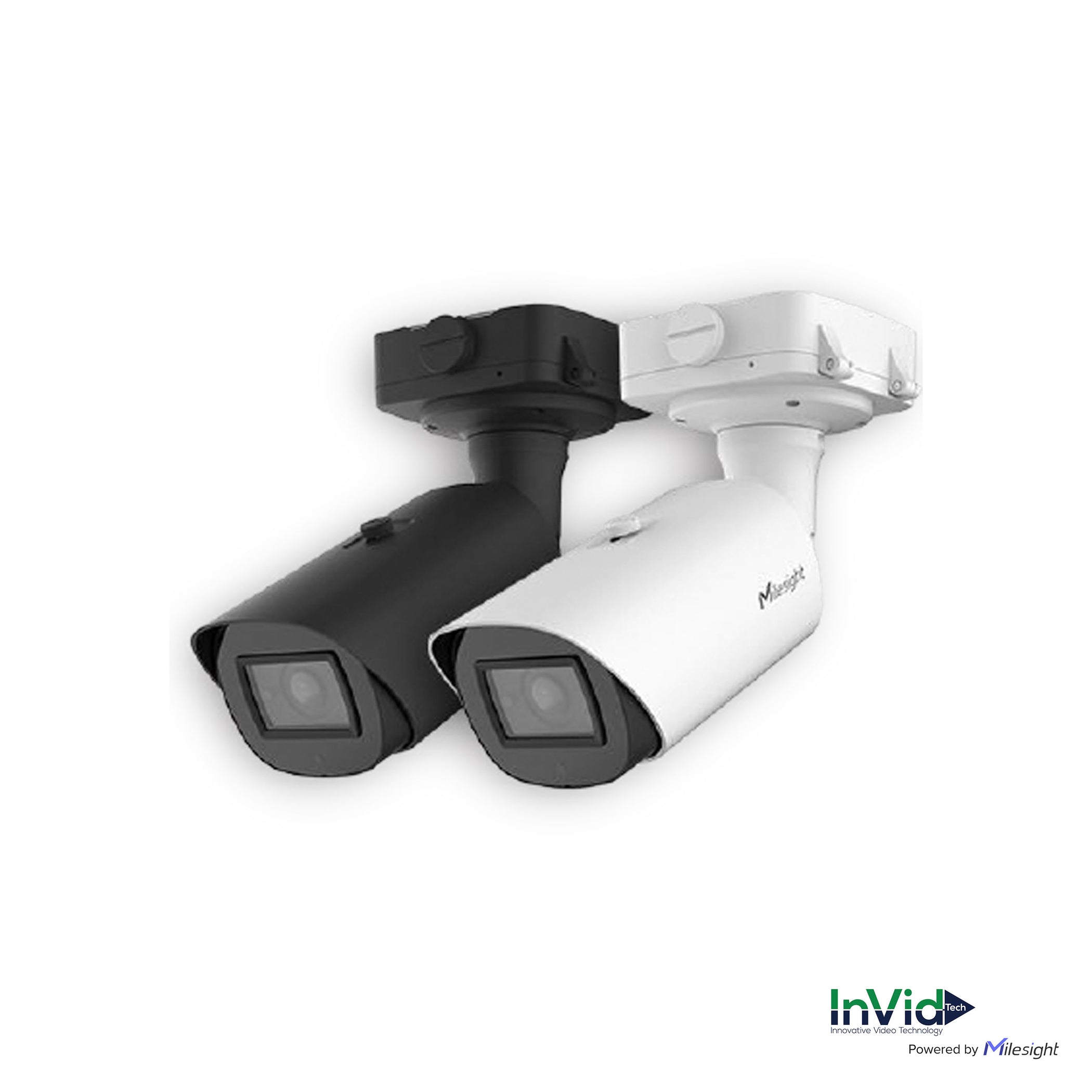 INVID-MS-C5366-FPE — Invidtech